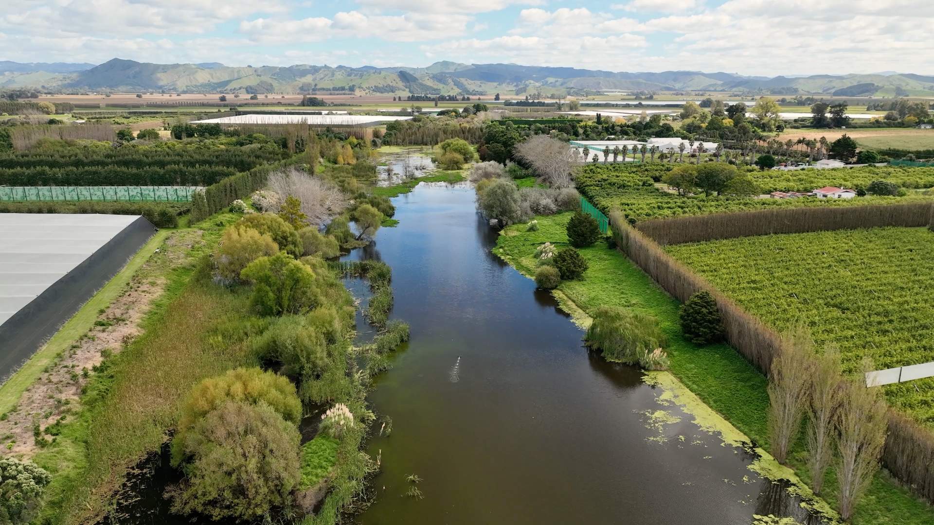 Maungarongo Wetland Restoration Project | Tūranganui-a-Kiwa